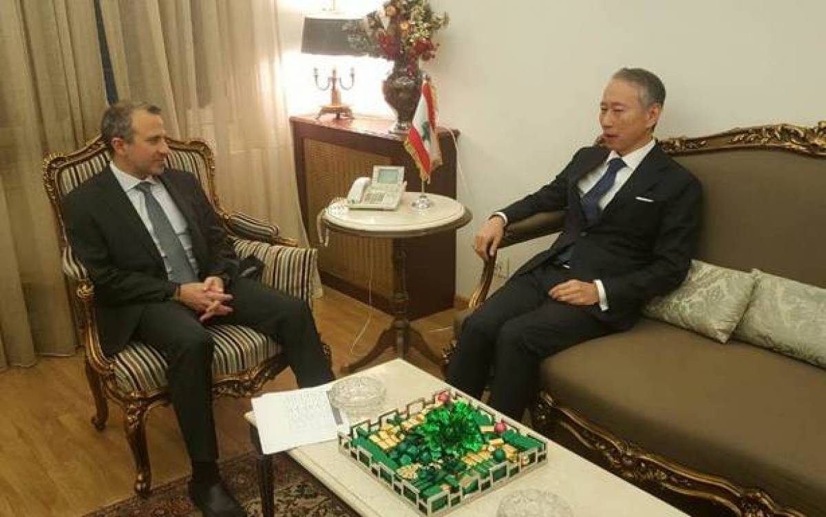 باسيل تسلّم نسخاً عن أوراق اعتماد 6 سفراء | الديار